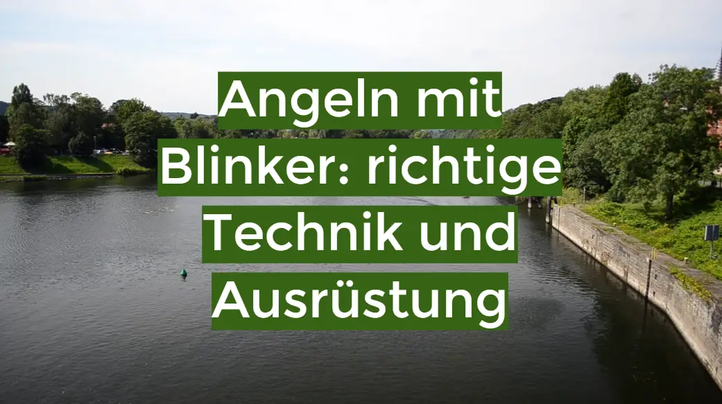 Angeln mit Blinker: richtige Technik und Ausrüstung - Angel Expert