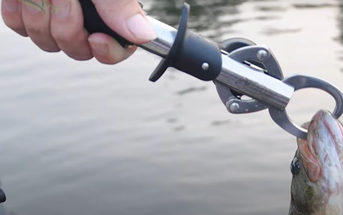 Fischgreifer Test-Überblick Januar 2026: Die besten Fischgreifer im ...